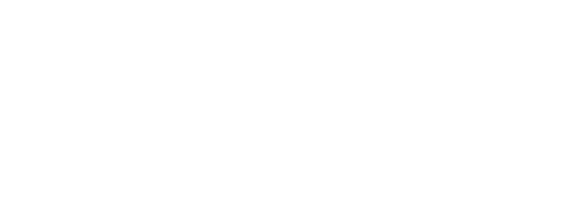 BiG FORCE HIRE H2A WORKERS