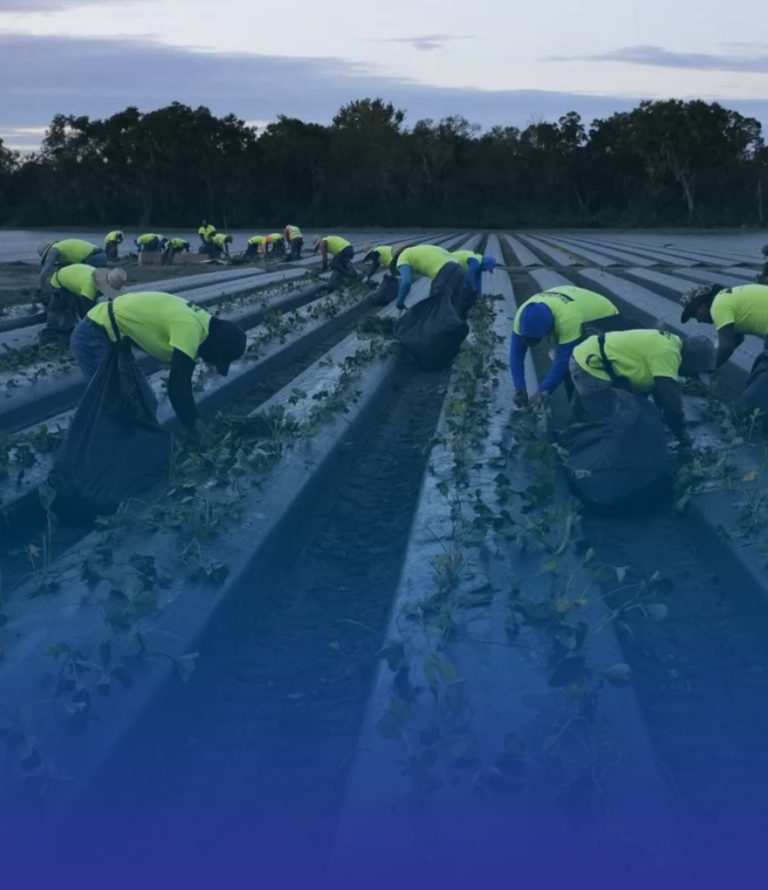 BIGFORCE – VISA H2A